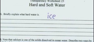 15 Bad Exam Answers That Will Make You Shake Your Head
