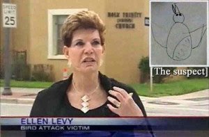 The 25 Best Daytime Television Screenshots