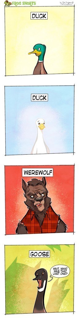 Frog Shorts: Duck Duck Werewolf